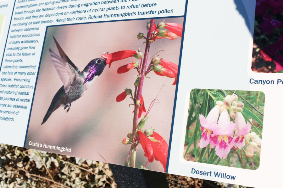 CASE STUDIES | Sierra Signs