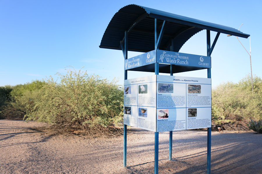 CASE STUDIES | Sierra Signs