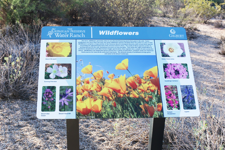 CASE STUDIES | Sierra Signs